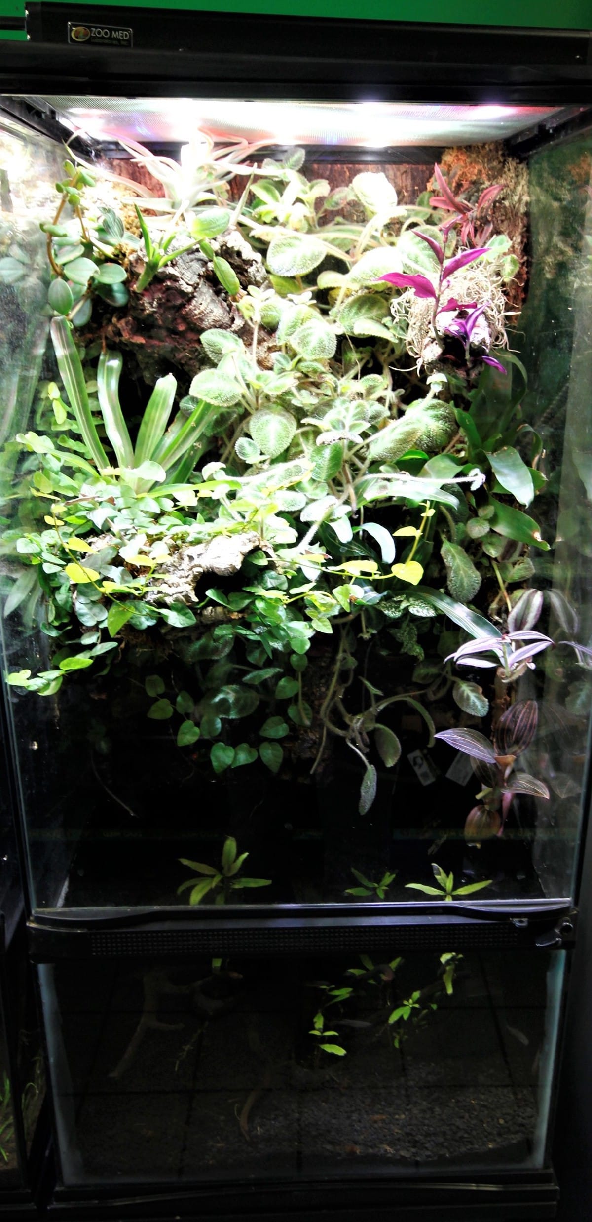 Store of the Month – November 2022 | Zoo Med Laboratories, Inc.