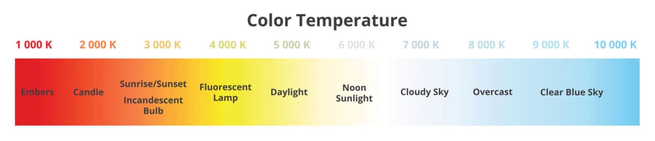 Lighting & UVB Education – Reptile Lighting Terms | Zoo Med ...