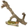 Premium Sand Blasted Grapevine | Zoo Med Laboratories, Inc.