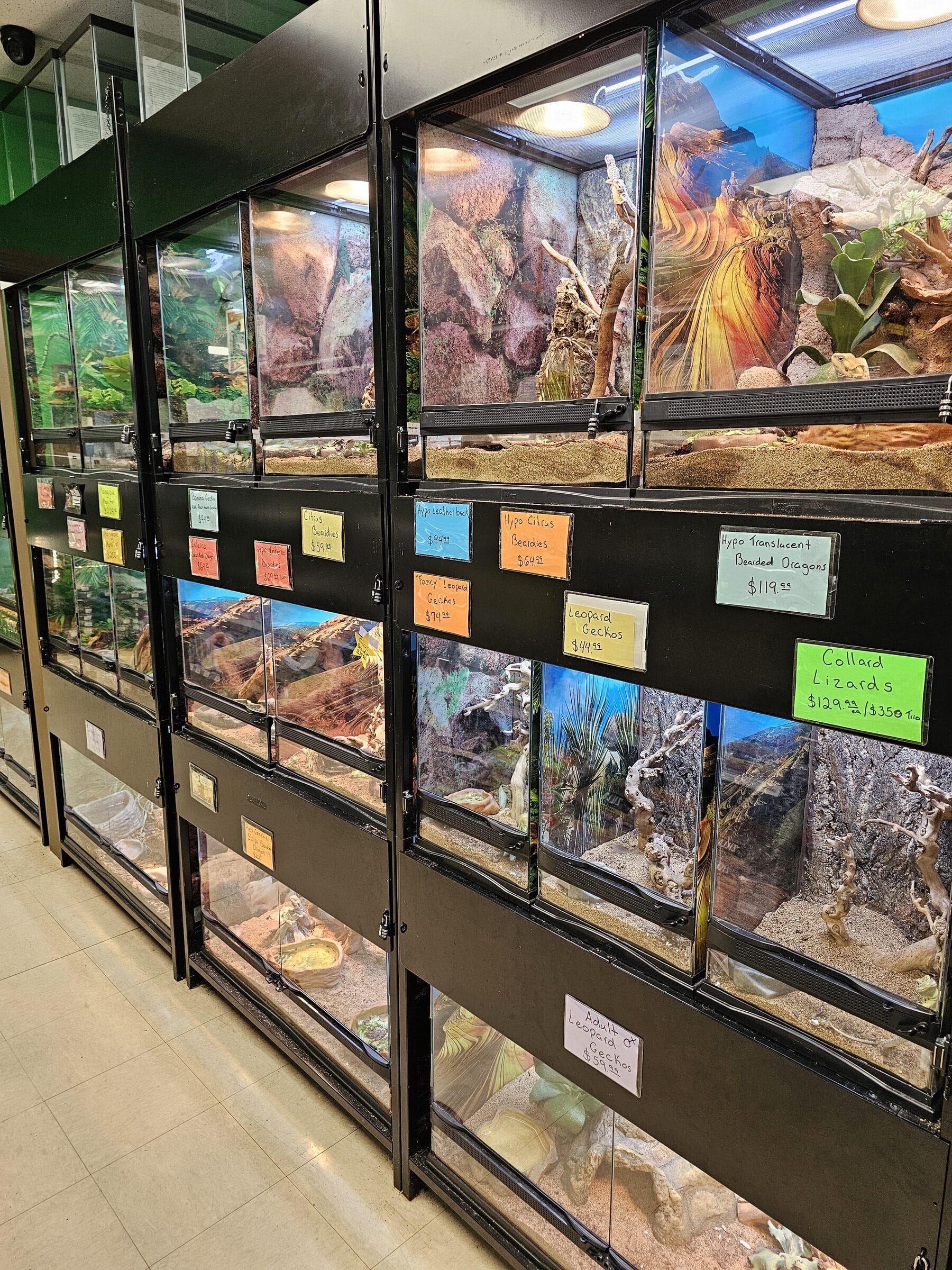 Store of the Month – June 2024 | Zoo Med Laboratories, Inc.